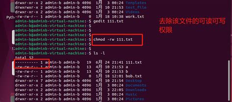 【用户权限】chmod的简单使用（一）chmod 用户 Csdn博客