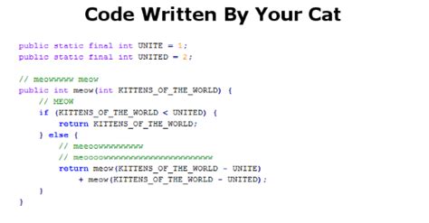 Types Of Programmers In One Picture DataScienceCentral
