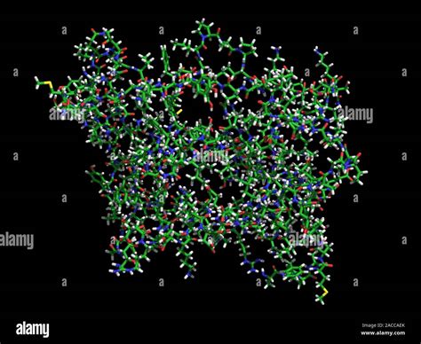 Somatotropin Computer Model Of A Molecule Of The Human Growth Hormone Hgh Somatotropin Or