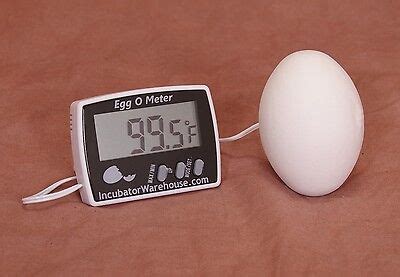 Egg O Meter Egg Incubator Hatching Thermometer Measures Internal Egg Temp EBay