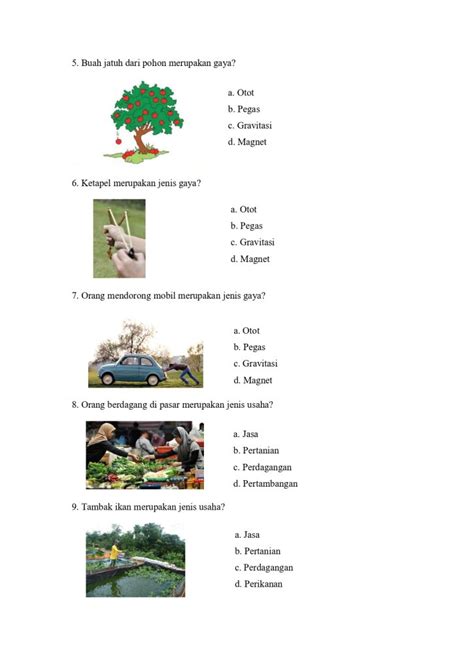 Soal IPA Dan IPS IPAS SMALB Di SLB Meenta
