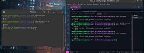 Terminal Integrado Do Vscode Não Retorna A Versão Python Atual Do