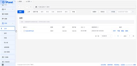 求解，java部署失败显示unable To Access Jarfile，按照一些文档中的步骤操作的 1panel 社区论坛 Fit2cloud 飞致云