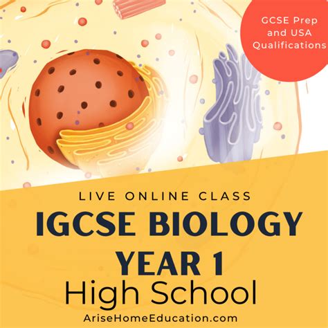 Igcse Maths Uk Class For Home Ed Students