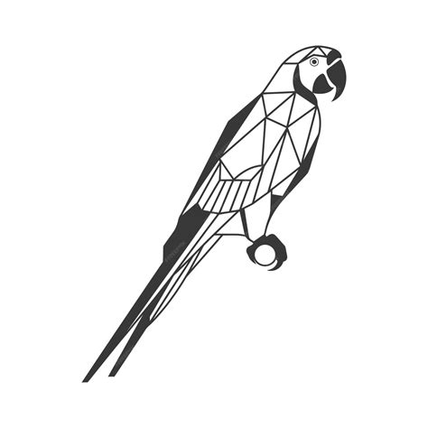 El Loro Geométrico Se Encuentra Posado Con Las Alas Plegadas Vector