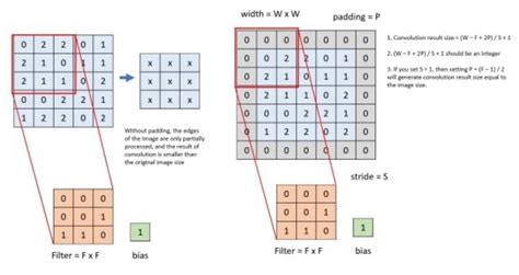 niraj kumar on linkedin 365daysofcode python machinelearning