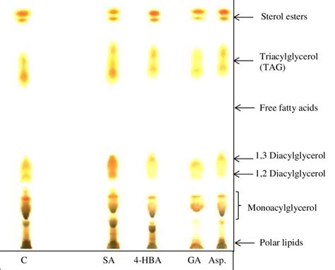 the qualitative analysis of non polar lipids separated by tlc thin