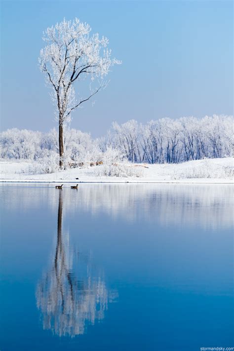 Snow And Frost