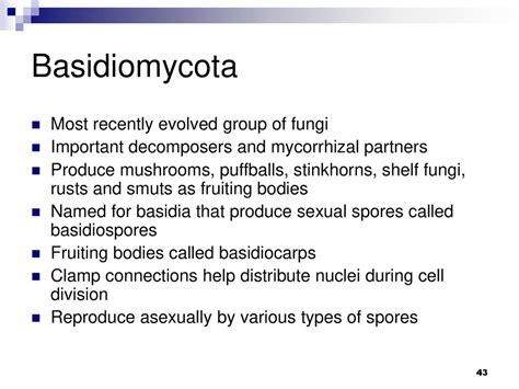 Chapter 29 The Kingdom Fungi Brenda Leady University Of Toledo Ppt