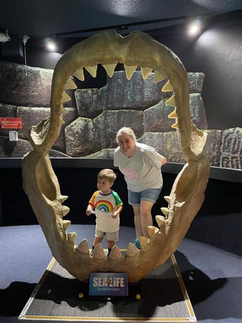 Chris Kerrisk On Linkedin Yearofaccessibletourism Accessaccelerator Disabilityadvocacy