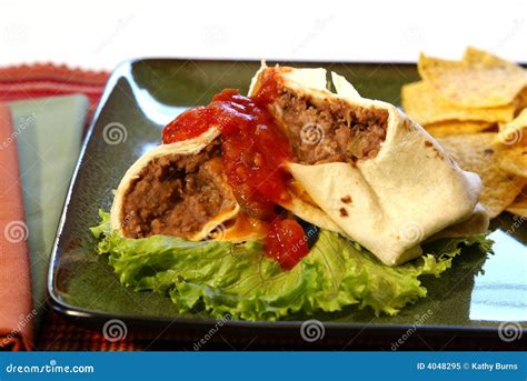 Burrito stock image. Image of tasty, fiber, chips, protein - 4048295