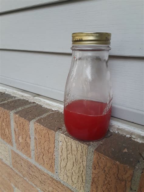 Watermelon Juice May Homebabeing On A Shoestring