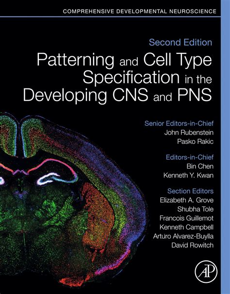 Patterning And Cell Type Specification In The Developing Cns And Pns Comprehensive