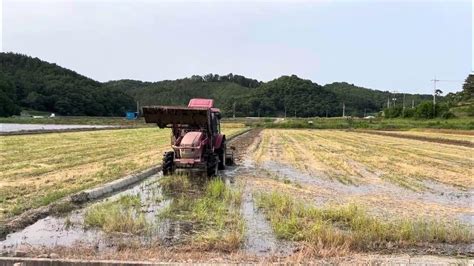 2024년 논 로타리 Youtube