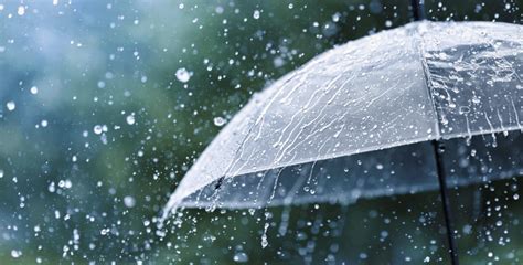 Дощ іде чи падає Мабуть ми вас здивуємо якщо скажемо що дощ… Історії для натхнення