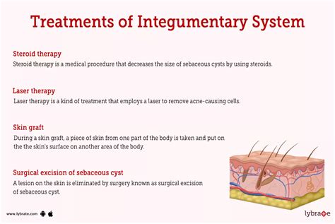 Integumentary System Human Anatomy Image Functions Diseases And Treatments