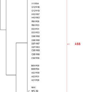 Dendrogram Constructed Using The Unweighted Pair Group Method With