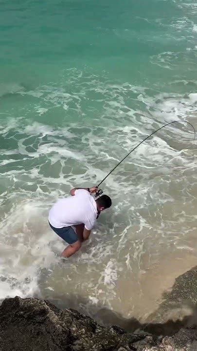 ۱ هفته کیش بودم فقط ۲ روز هوا خوب بود😑 راستی صید ۱ ماهی شیر سایز هم