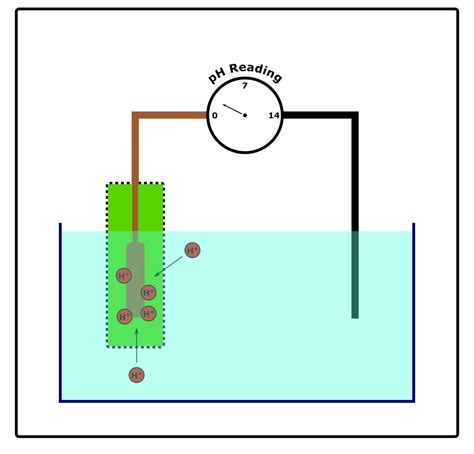 How To Use A Ph Meter Correctly In Simple Steps