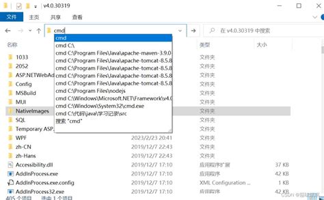 利用vs2019创建web项目并发送到iis及iis与asp配置教程 实用技巧 脚本之家