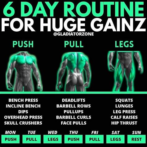 Push Pull Legs Workout Splits Aka PPL Splits Bro Splits And Triple Splits Have Been A Popul