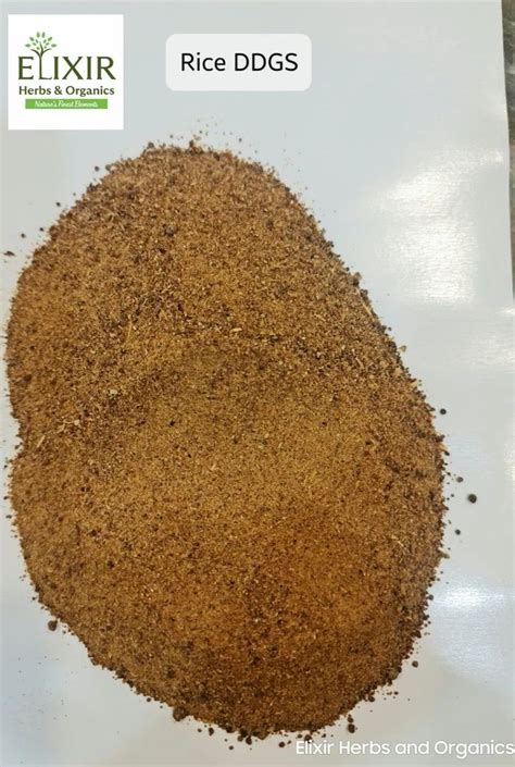 Granule Rice Ddgs 45 Protien Packaging Type Pp Bag Packaging Size 50 Kg At ₹ 18 50 Kg In