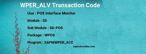 Wperalv Sap Tcode For Pos Interface Monitor
