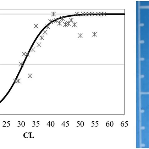 Logistic Curve For The Estimation Of Length At First Maturity Cl Mm