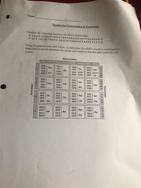 Solved Name Consider The Following Sequence Of A DNA Double Chegg