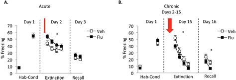 Figure From Sex Differences And Estrous Cycle In Female Rats Interact With The Effects Of