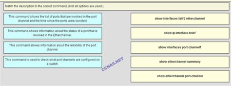 Network Chapter Exam Flashcards Quizlet