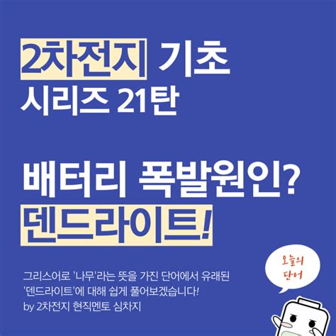 2차전지 기초 배터리 폭발 원인 덴드라이트 네이버 블로그