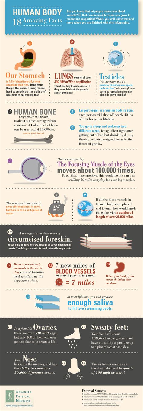 Human Body Lesson Plan All Subjects Any Age Any Learning Environment Open Source And Free