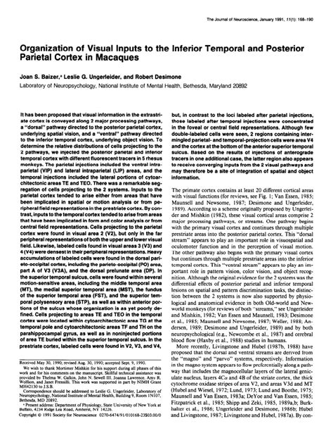 Pdf Organization Of Visual Inputs To The Inferior Temporal And