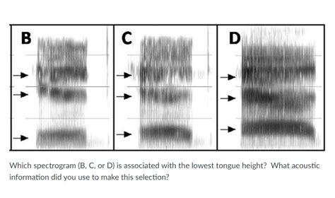 Solved Which Spectrogram Bc ﻿or D ﻿is Associated With