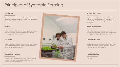 Principles Of Syntropic Farming Ppt Example St Ai Ss Ppt Presentation