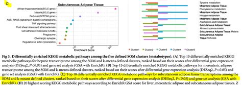 Please Help Me Understand This X Axis Scale Is 100 Not Enriched And