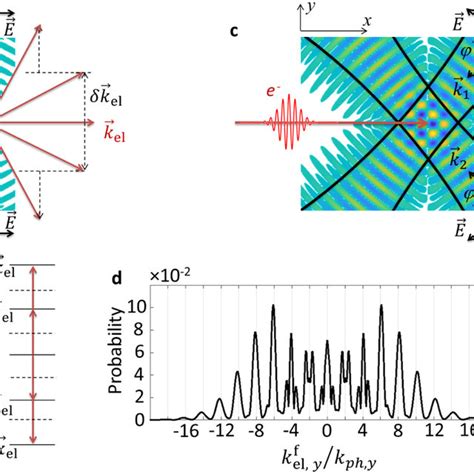 Quantum Coherent Interference Paths In The Interaction Of Electron