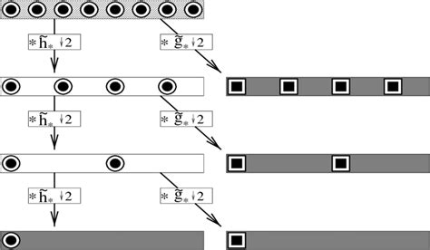 10 The Fast Wavelet Transform Download Scientific Diagram