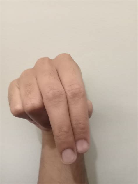 asl object detection dataset and pre trained model by dip project