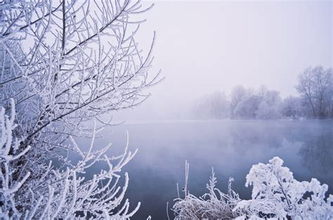 Winter Fog Free Stock Photo Public Domain Pictures