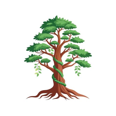 Stylish Cypress Vine Plant Design 57395043 Vector Art At Vecteezy