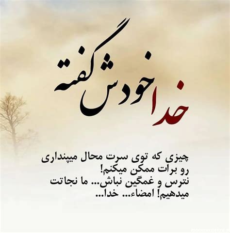 20 عکس خر در حال غذا خوردن لحظات جالبی را ثبت می کند