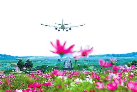 成都双流：跑出国际航空门户枢纽建设加速度 四川在线