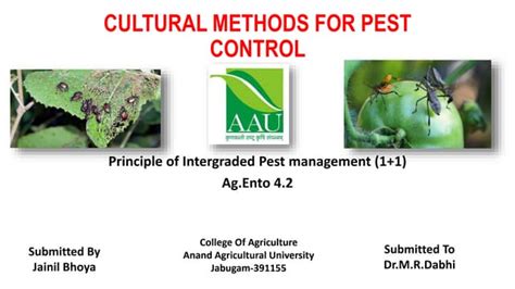 Cultural Methods For Pest Control Pptx Pptx