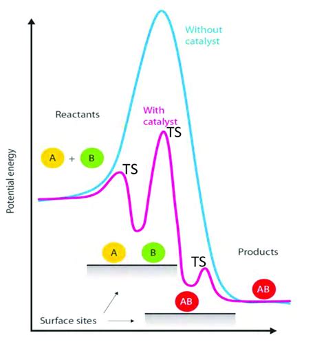 Schematic Reaction Energy Diagram Of The Transformation Of Reactants A Download Scientific
