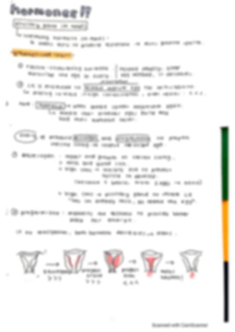 SOLUTION Reproductive System Notes Studypool SOLUTION Reproductive System Notes Studypool