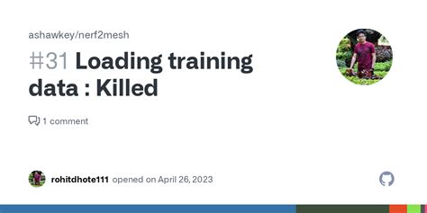 loading training data killed · issue 31 · ashawkey nerf2mesh · github