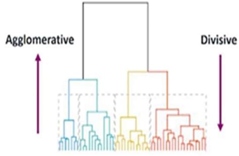 Hierarchical Clustering Download Scientific Diagram