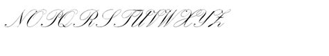 Palace Script Regular Font What Font Is